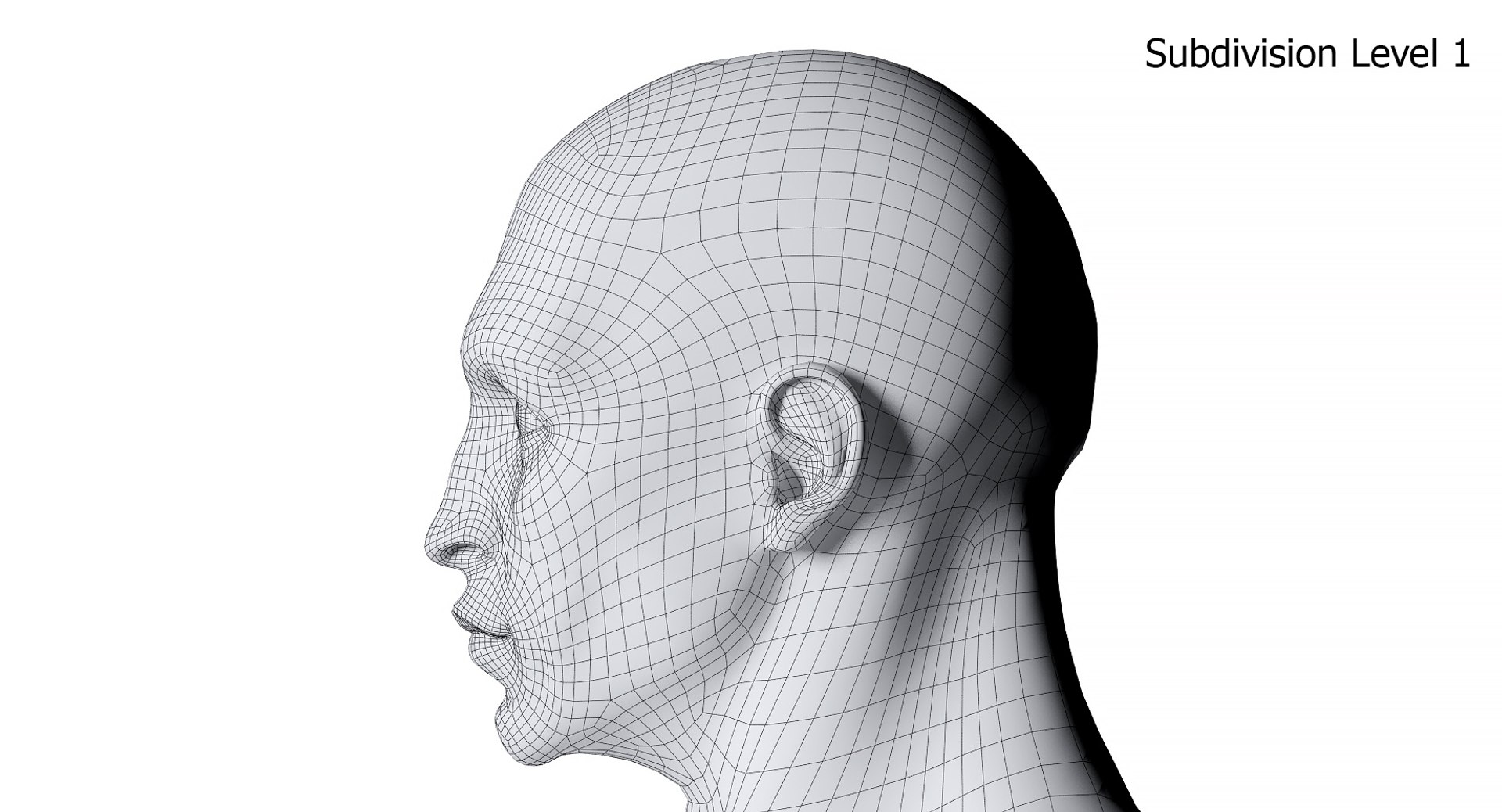 3d model realistic body head male