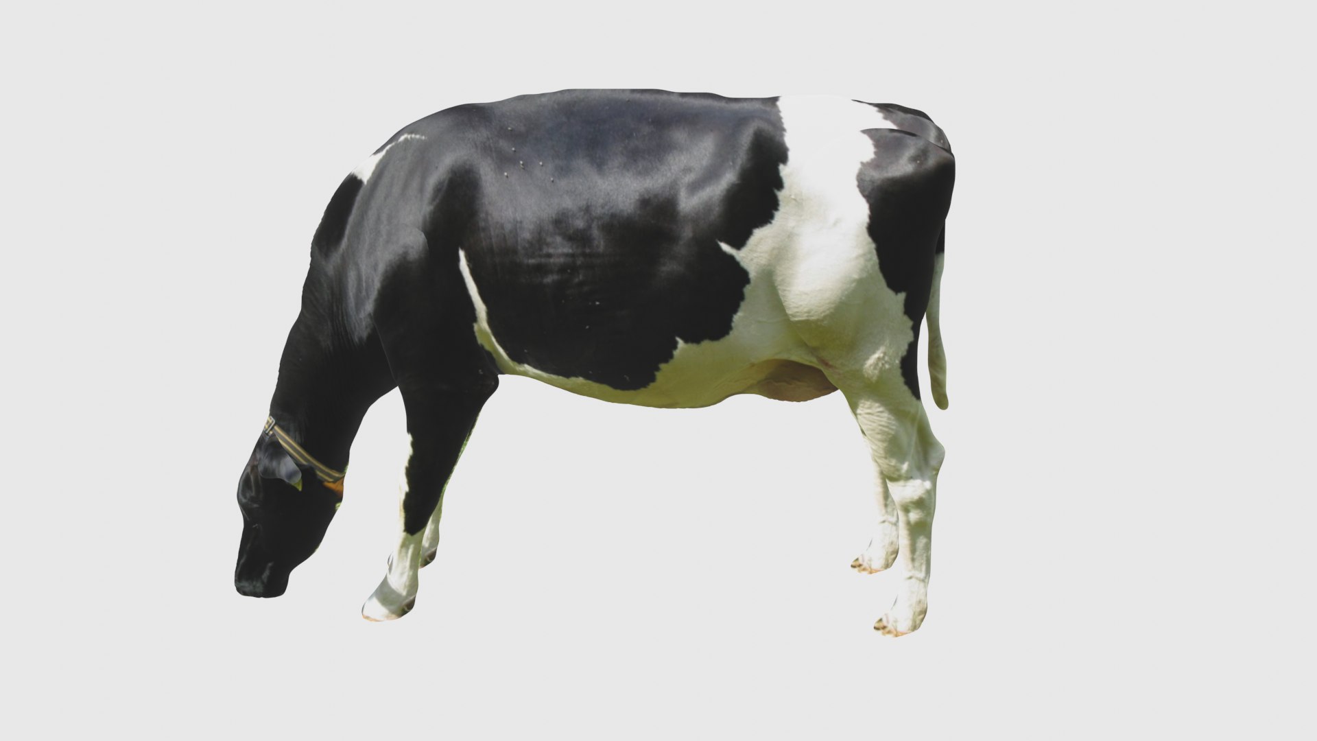 Low Poly Cow Rigged With Realistic Texture 3D - TurboSquid 1876098