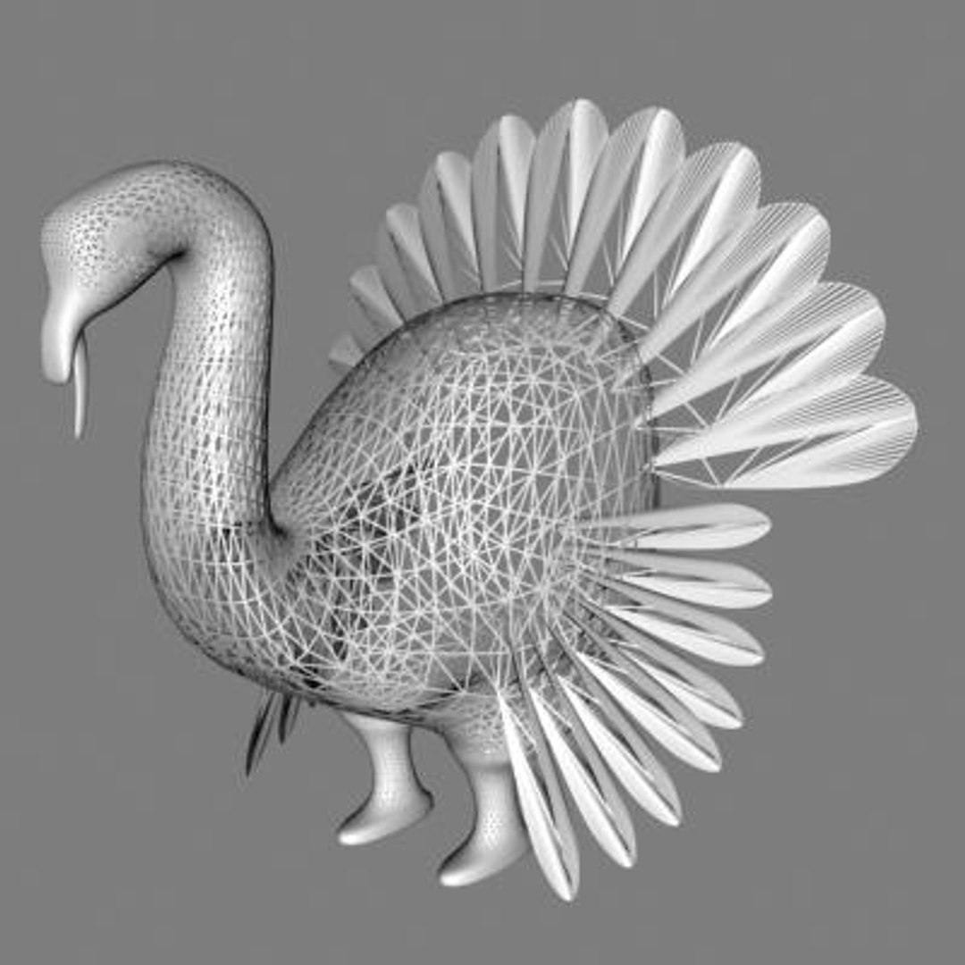Turkey 3d Model