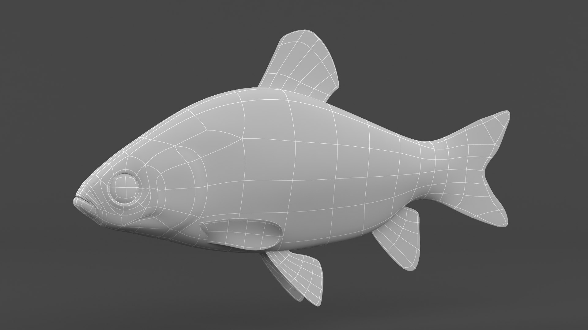 Freshwater Fish Model - TurboSquid 2008212
