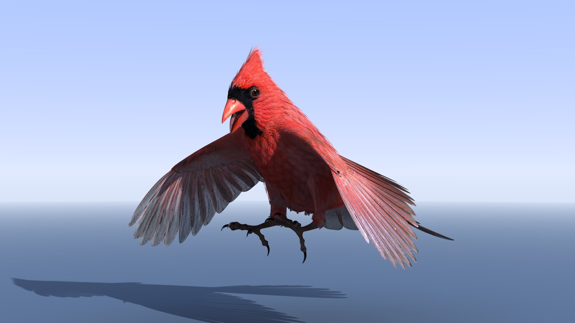 Cardinal rigged fly 3D model - TurboSquid 1633340