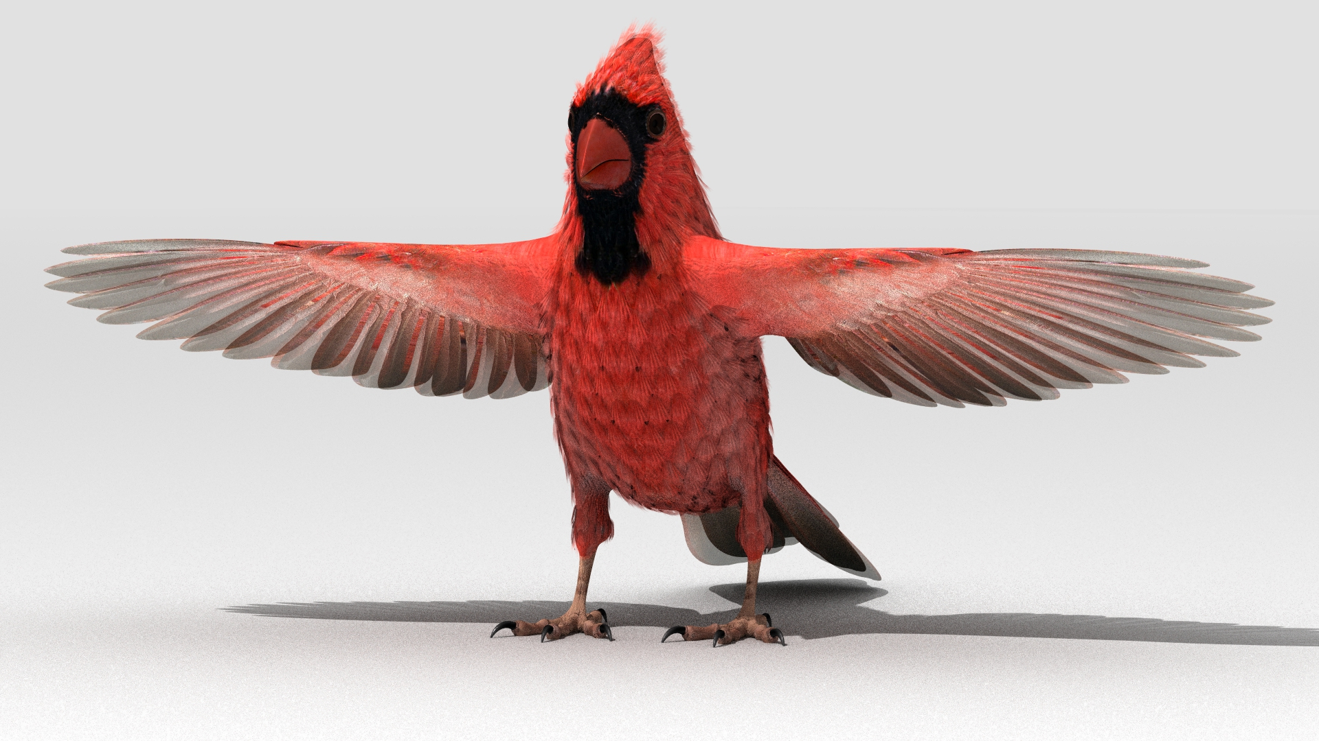 Cardinal rigged fly 3D model - TurboSquid 1633340