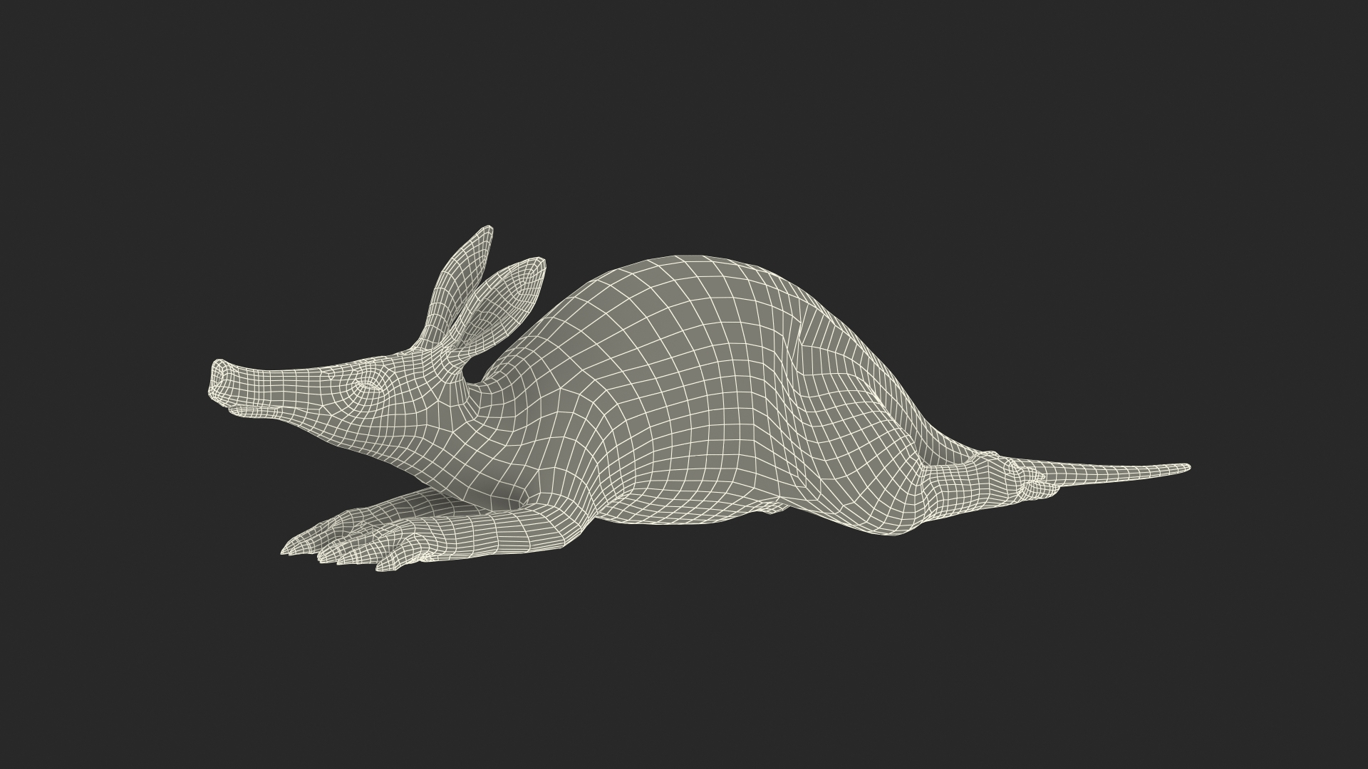 African Animal Aardvark Lying Pose Model - TurboSquid 2180872