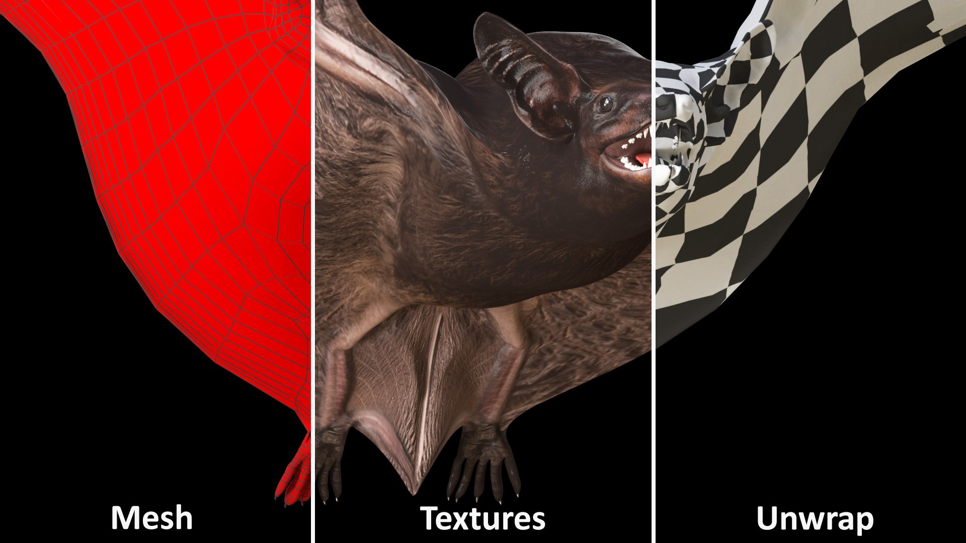 Flying Black Bat model - TurboSquid 1856444