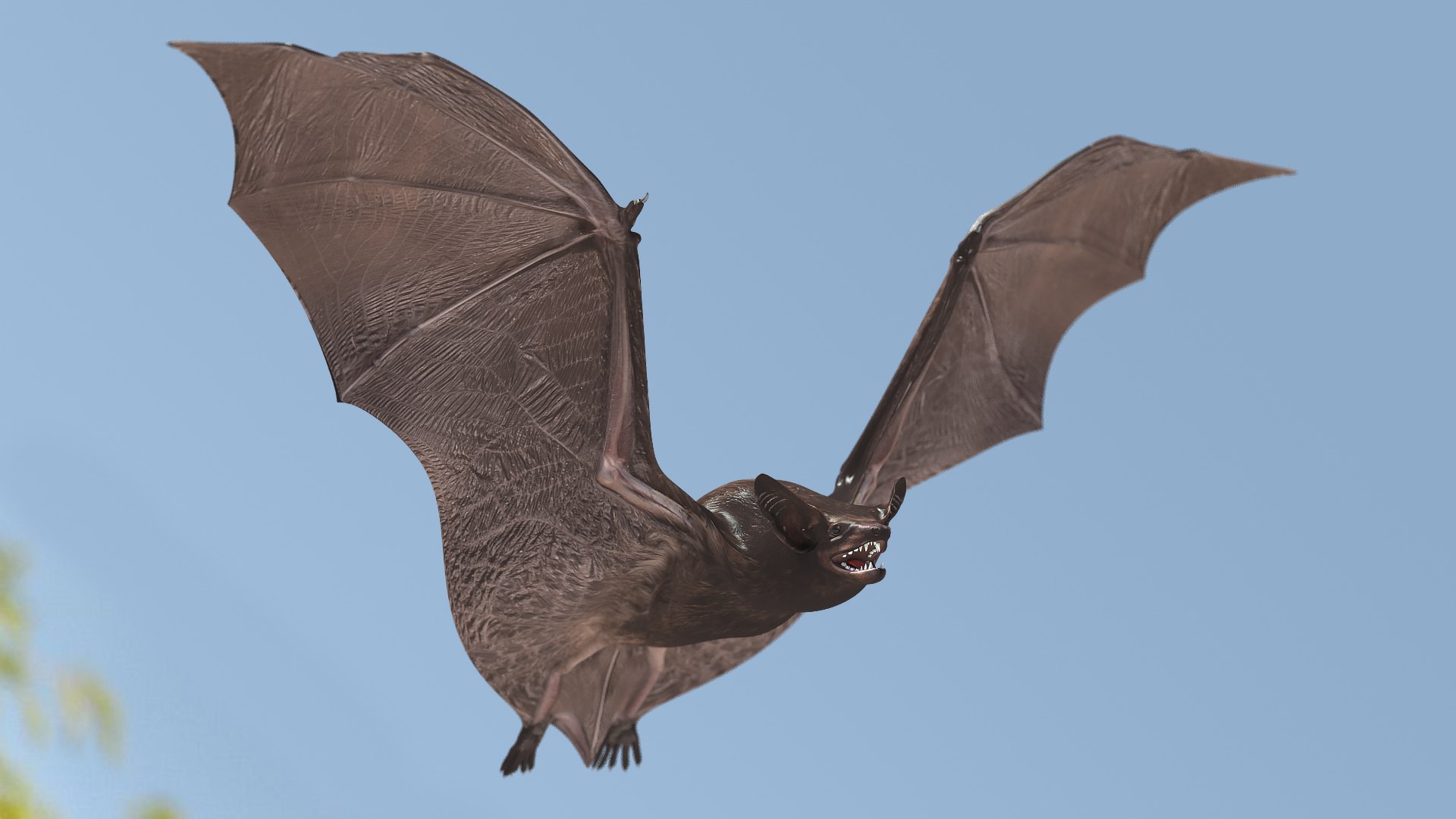 Flying Black Bat model - TurboSquid 1856444