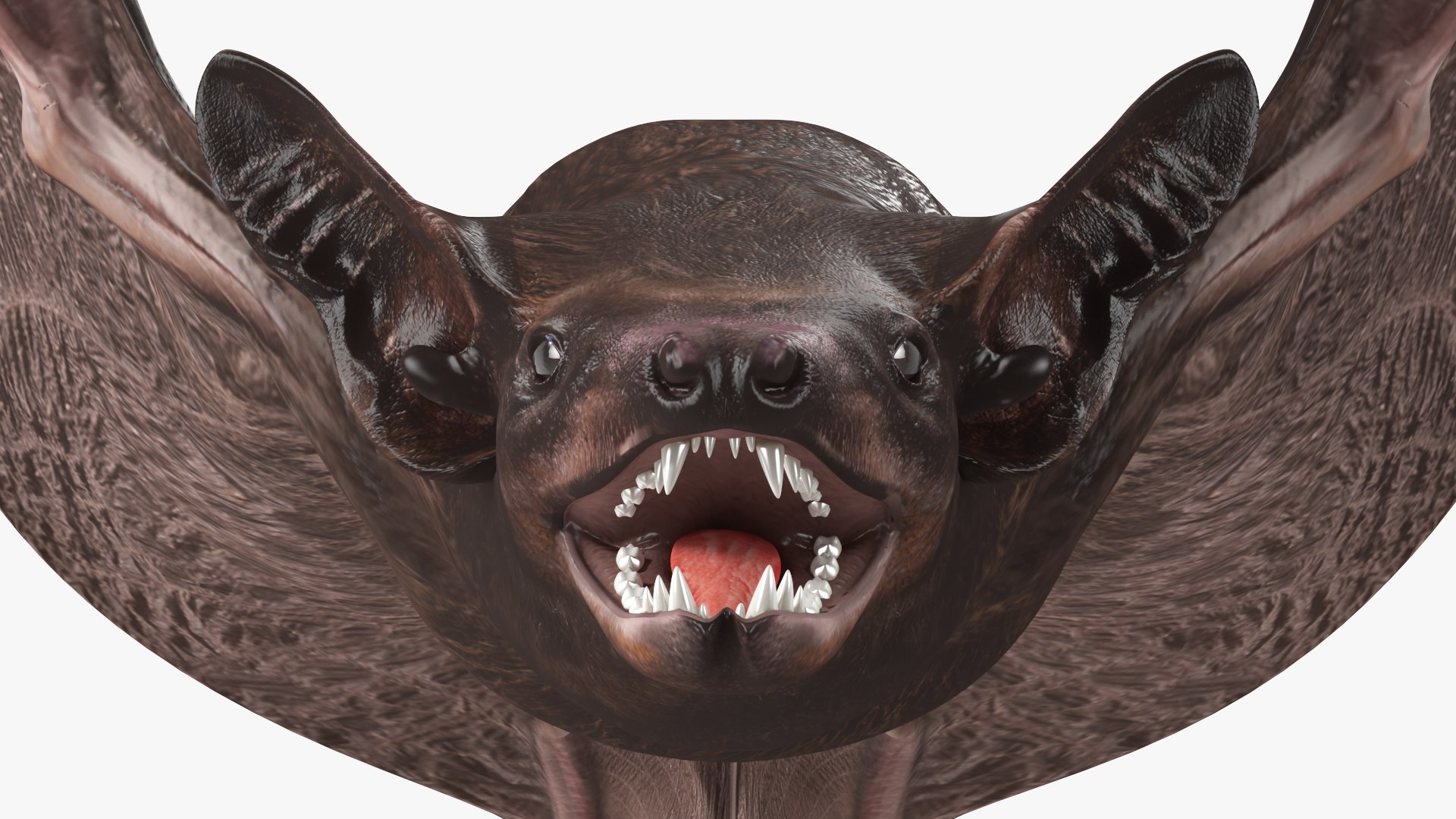 Flying Black Bat model - TurboSquid 1856444