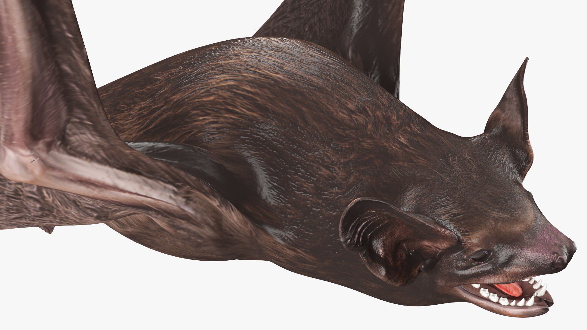 Flying Black Bat model - TurboSquid 1856444