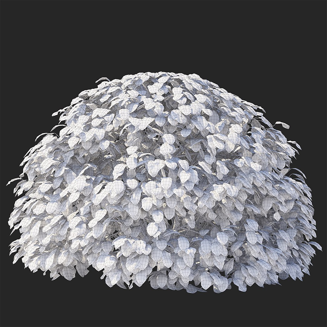 Fagus Sylvatica Sphere Model - TurboSquid 2005154