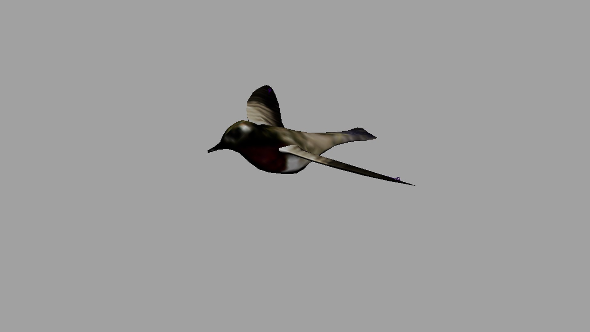 3D Birdfly Sparrow Model - TurboSquid 2223475