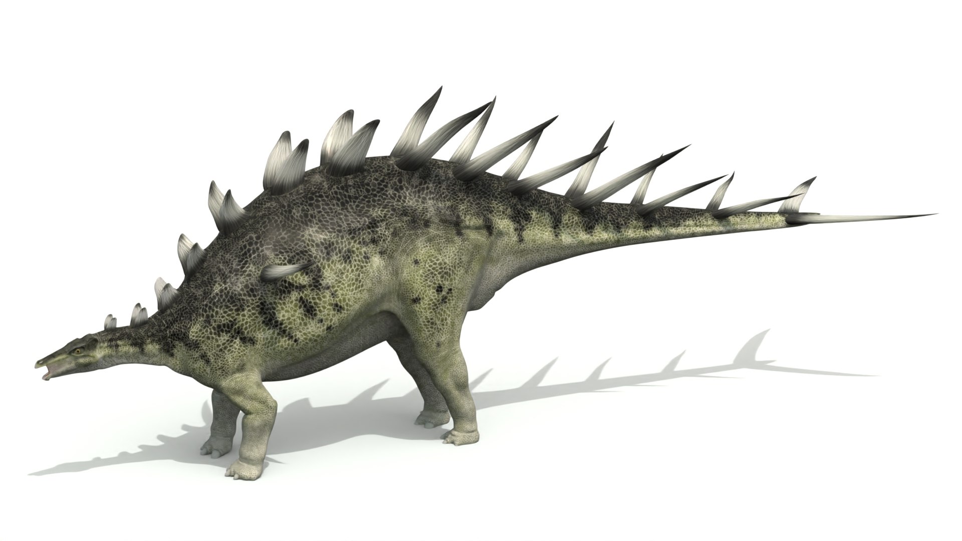 Kentrosaurus model - TurboSquid 2001105