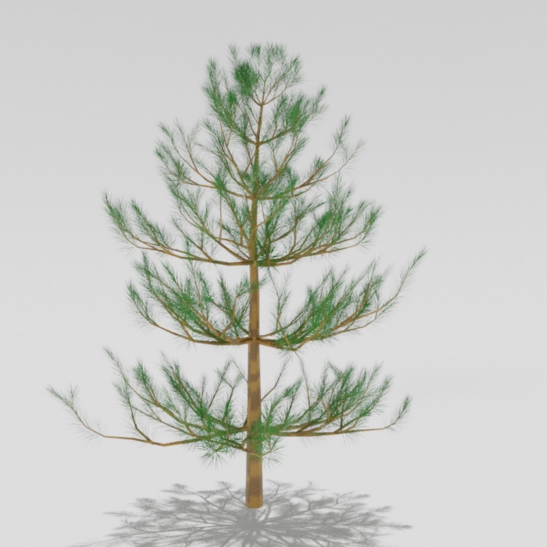 Pine tree 3D 모델 - TurboSquid 2058254