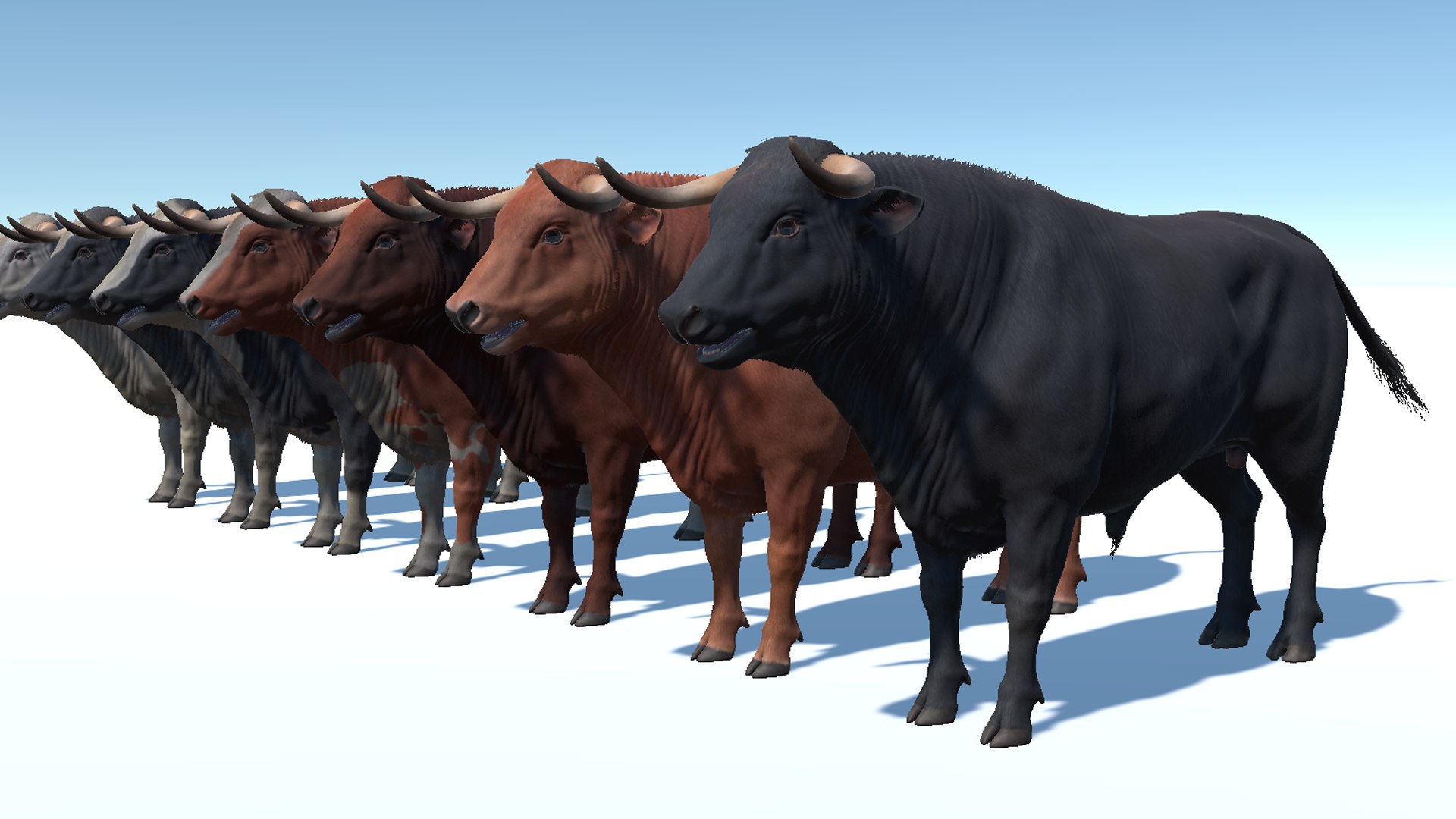 Bull 3D - TurboSquid 1937921