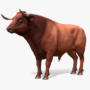 3D Bull Models - Browse & Download Formats - TurboSquid