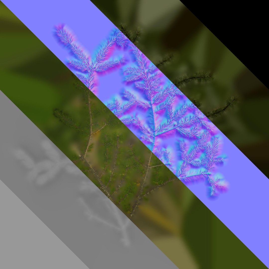 3D Anydrafts Abies Alba Textures Pack - TurboSquid 2323528