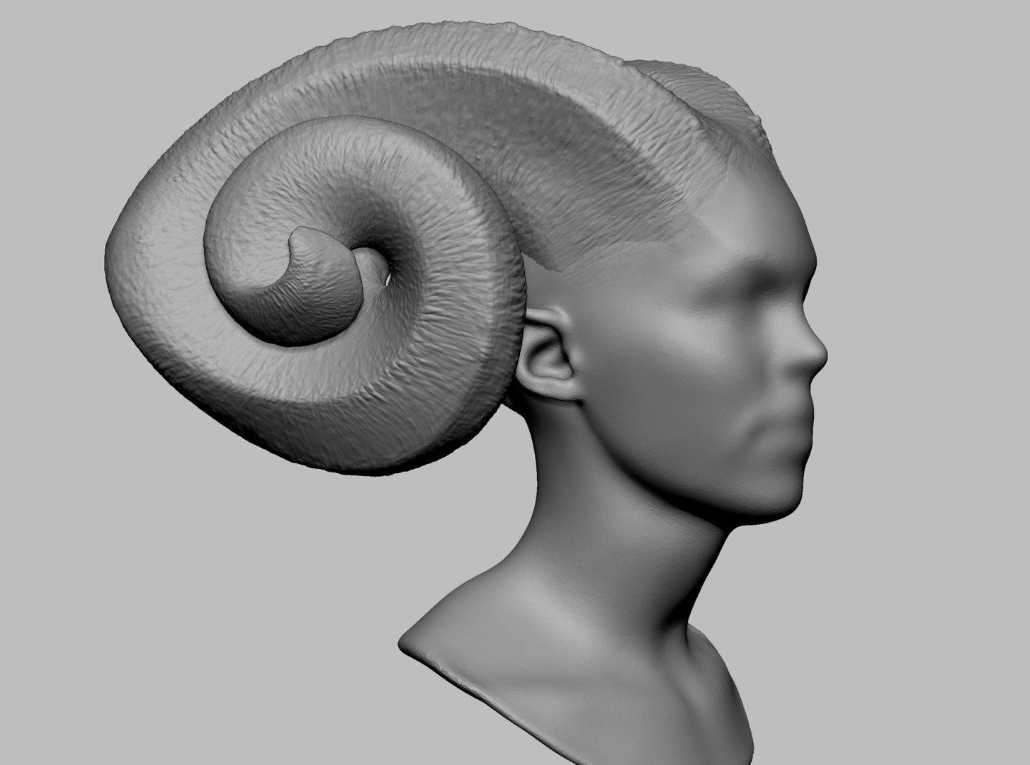 3D Horn 3dprint Stl Model - TurboSquid 1453337