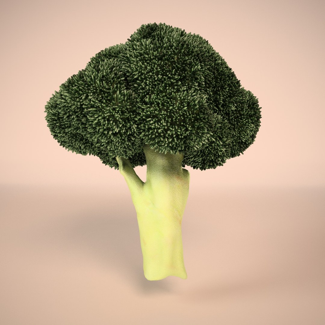 Broccoli 3d C4d
