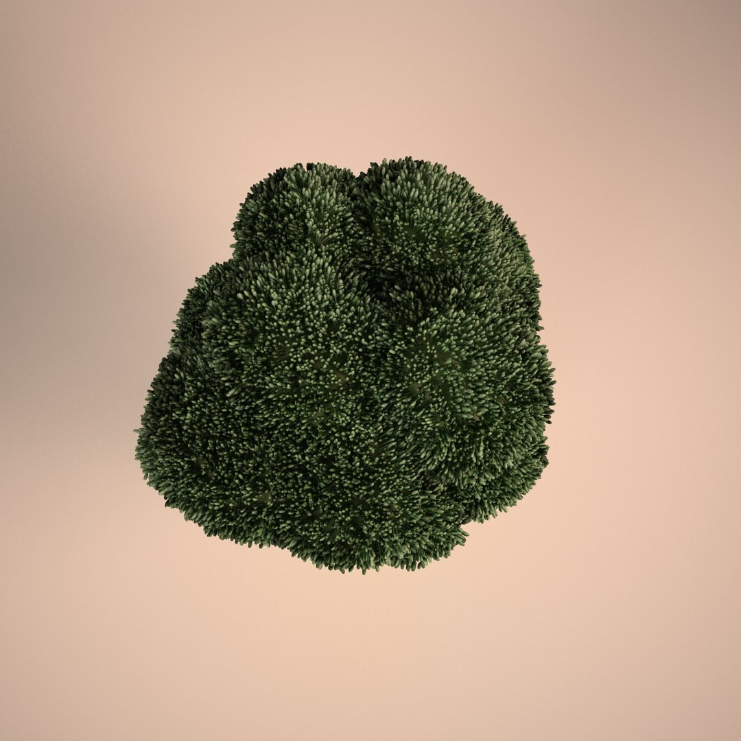 Broccoli 3d C4d