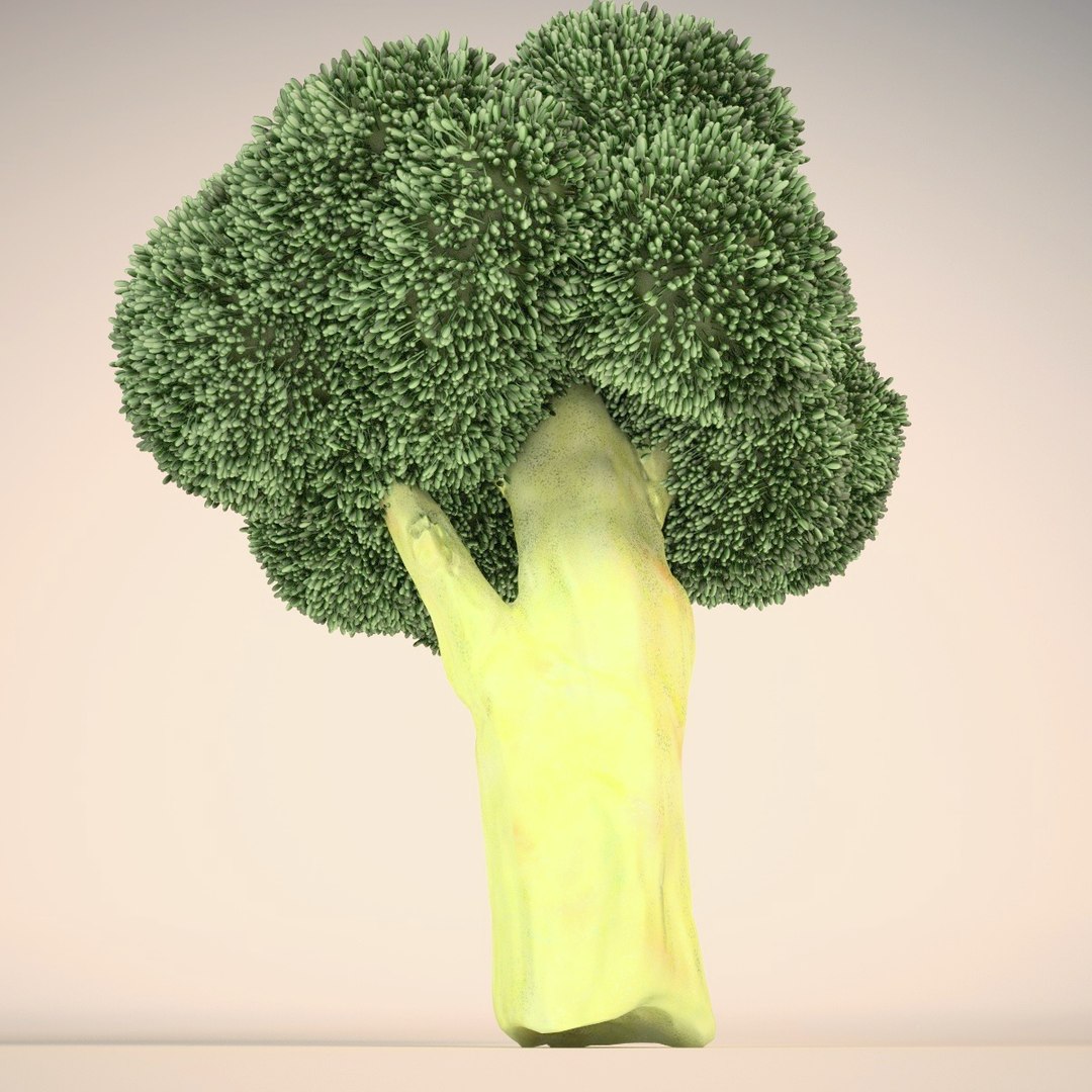 Broccoli 3d C4d