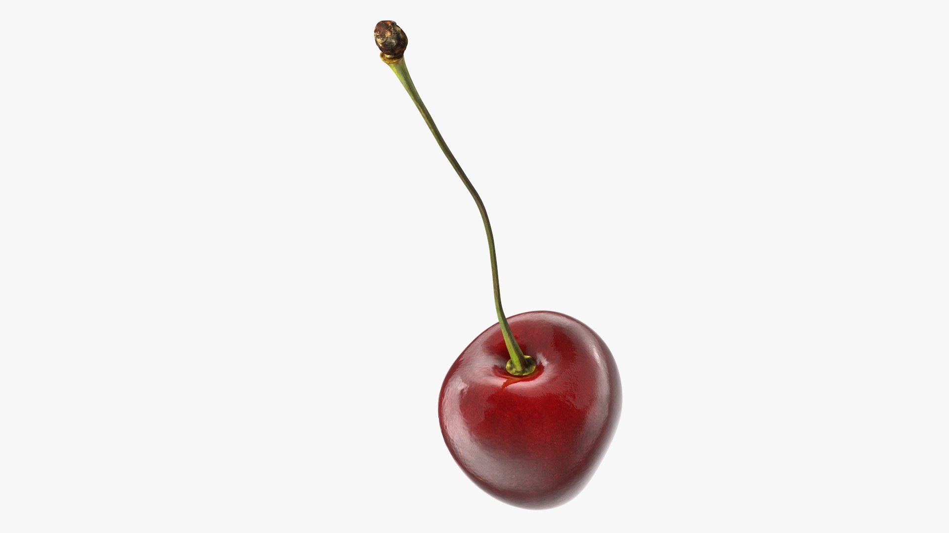3D Realistic Cherry With Stem Model - TurboSquid 2310159