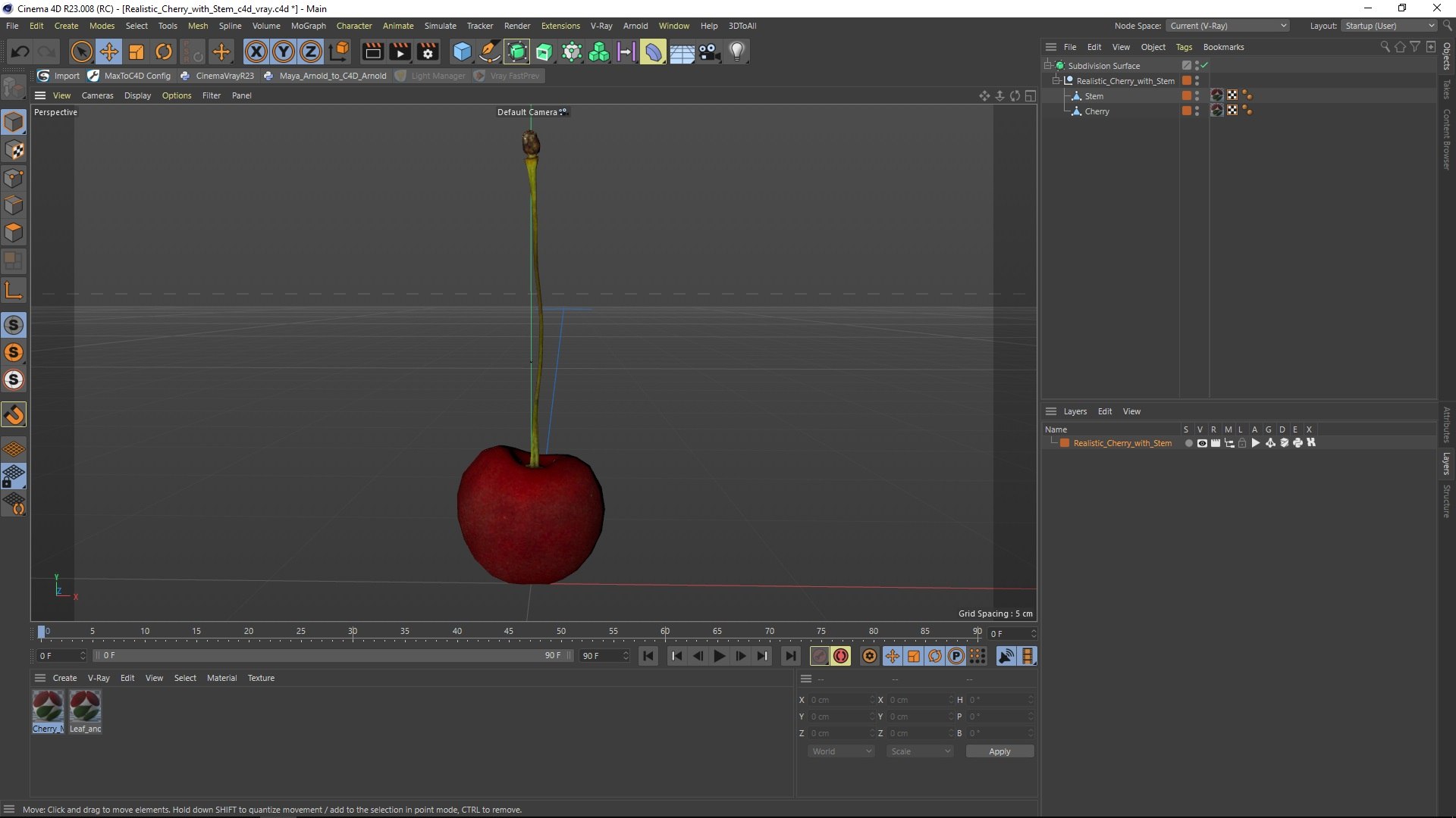 3D Realistic Cherry With Stem Model - TurboSquid 2310159