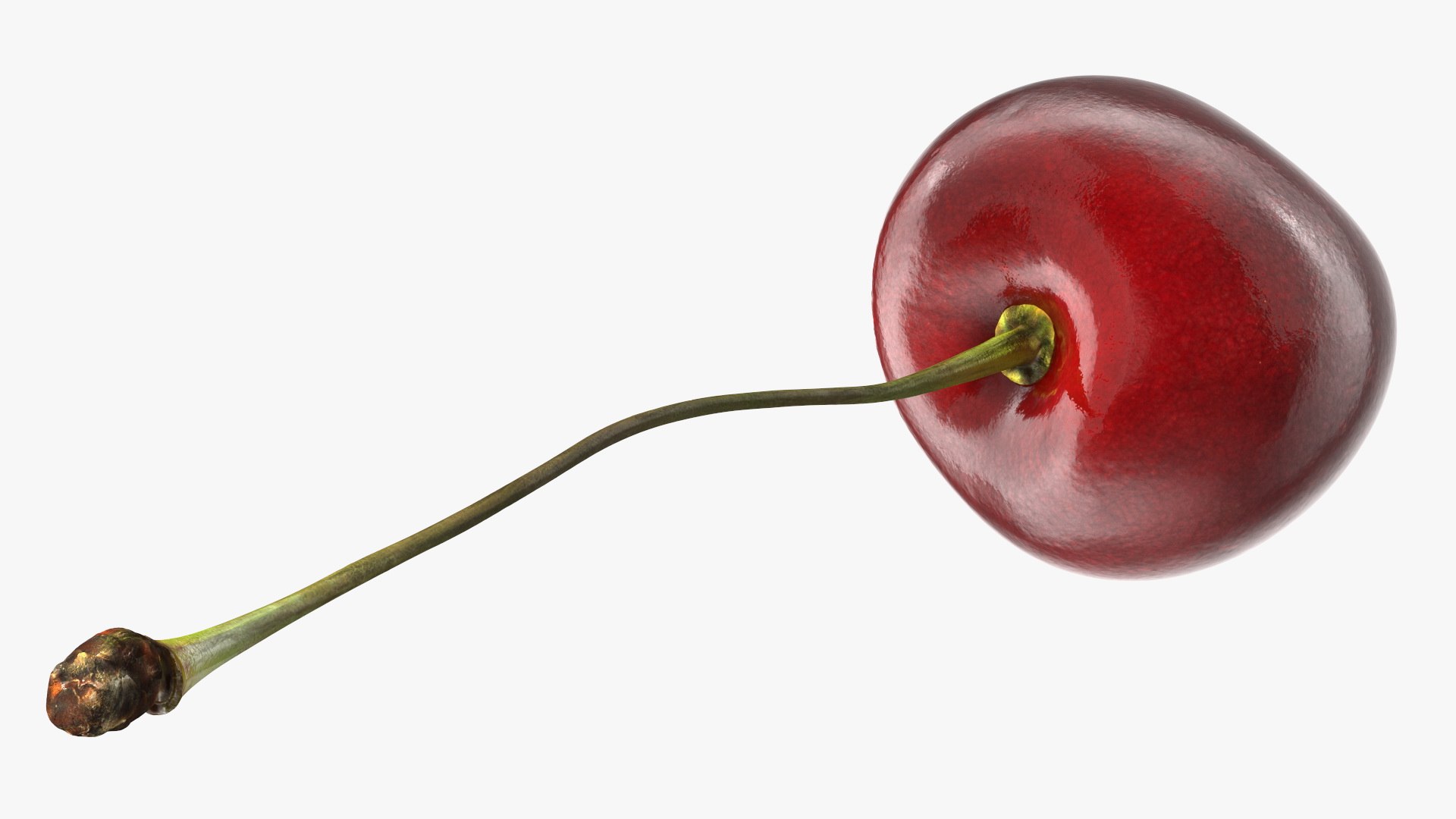 3D Realistic Cherry With Stem Model - TurboSquid 2310159