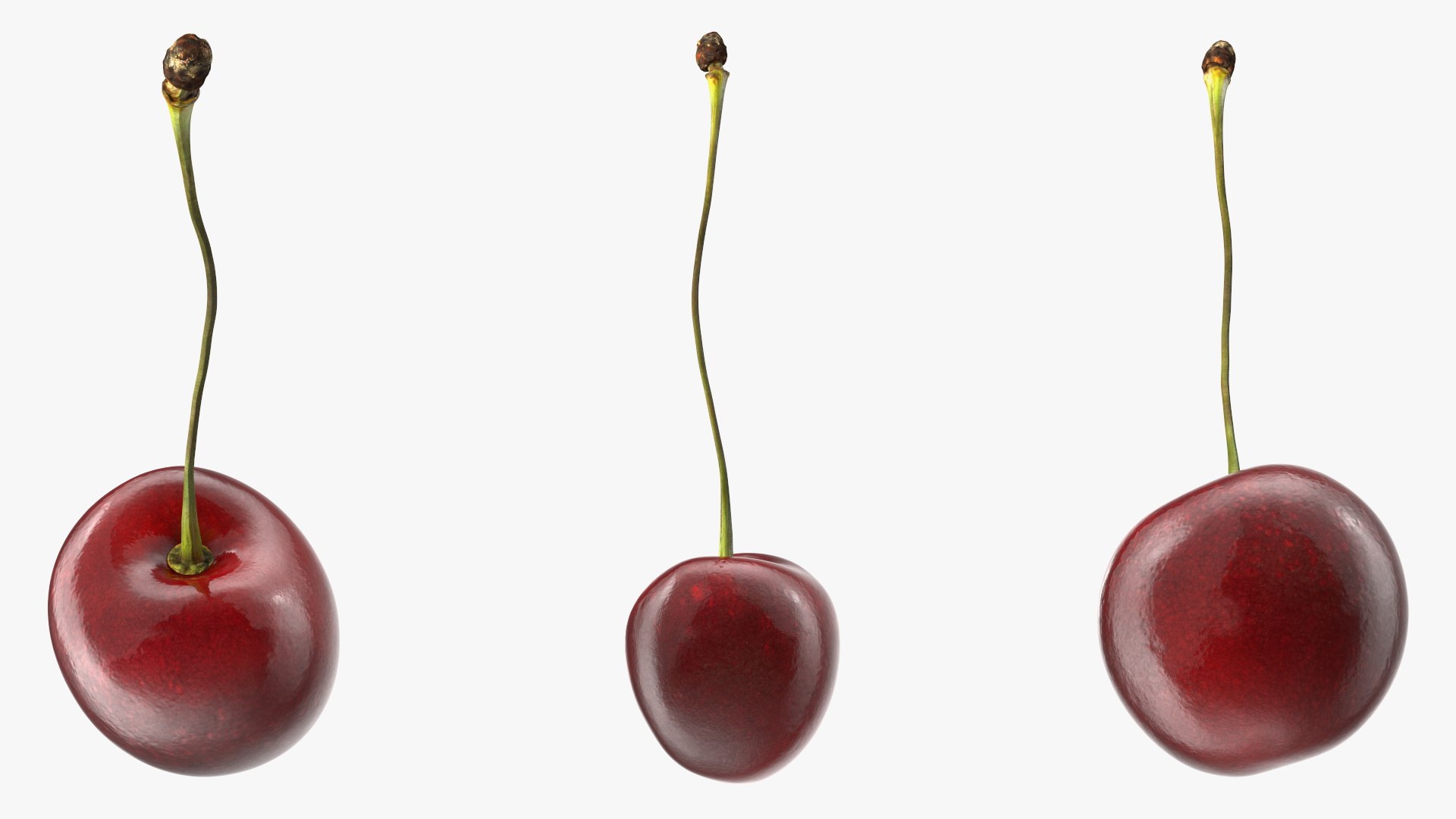 3D Realistic Cherry With Stem Model - TurboSquid 2310159