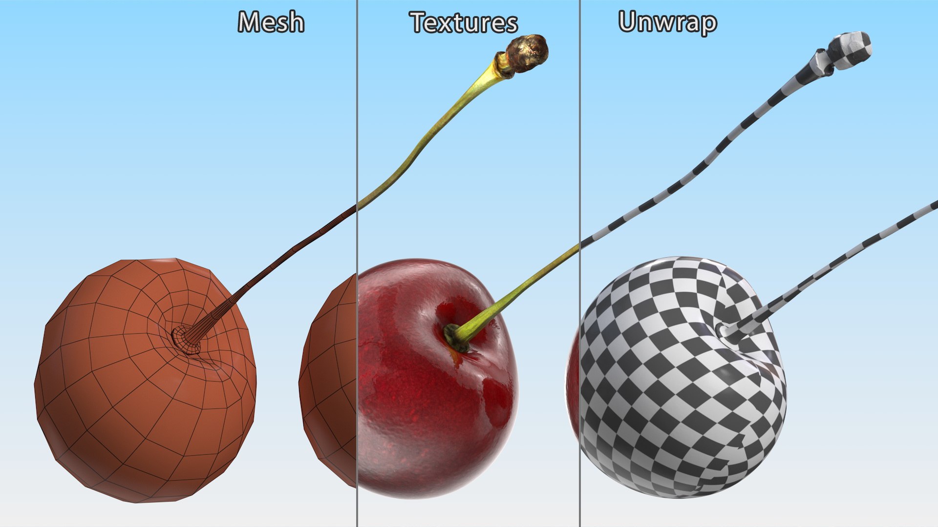 3D Realistic Cherry With Stem Model - TurboSquid 2310159
