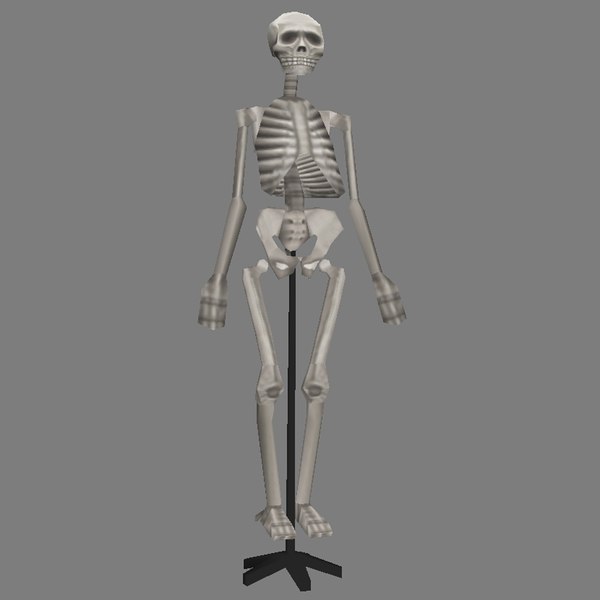 human skeleton - 3d max