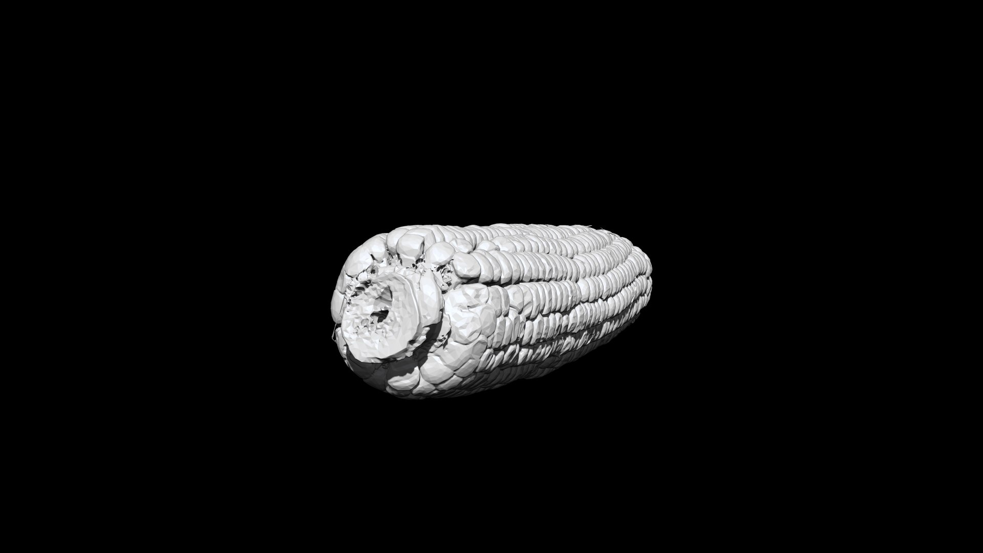 Corn 3D CT Scan Model Decimate 10 Percent 3D Model - TurboSquid 1945195