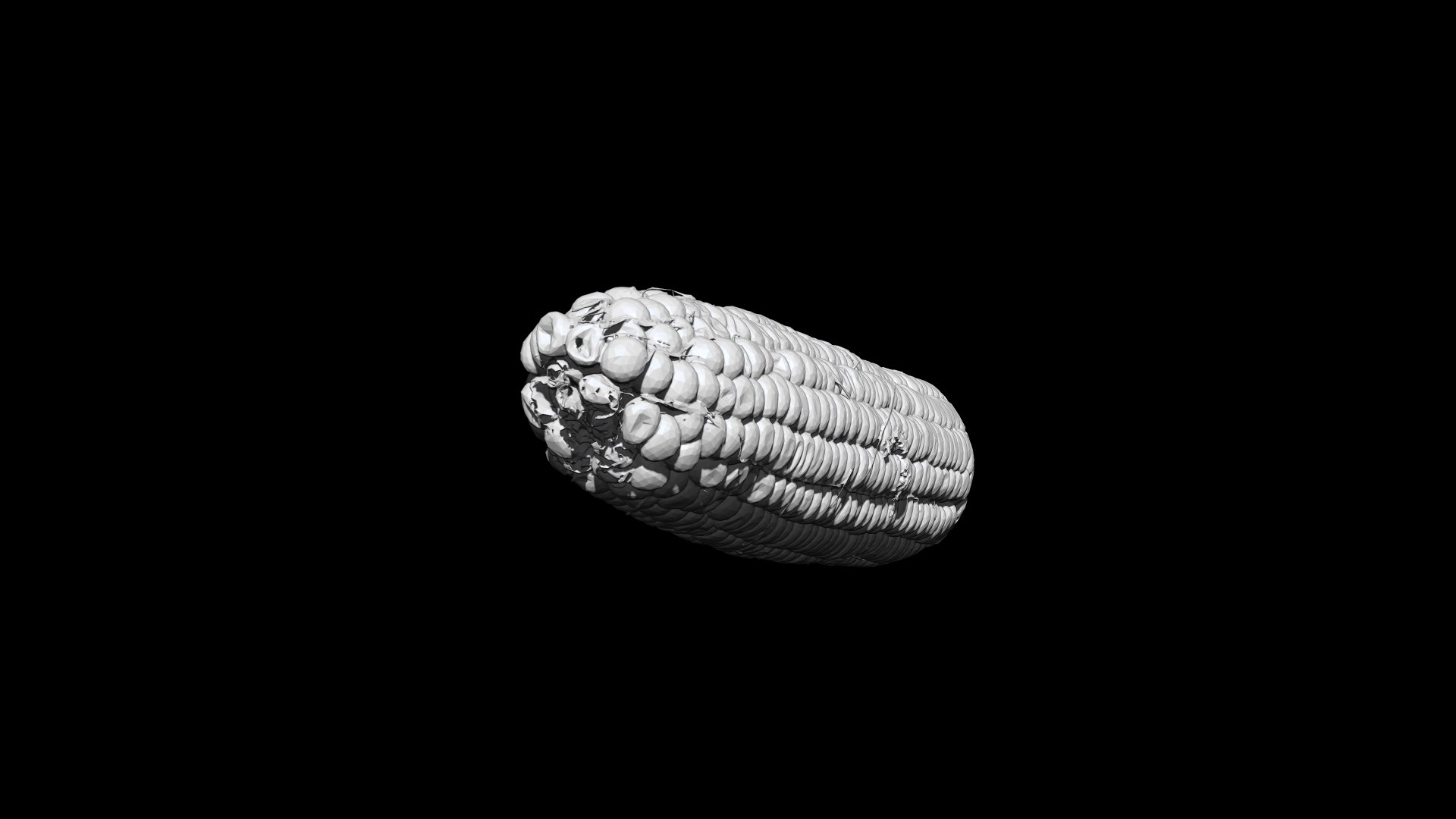 Corn 3D CT Scan Model Decimate 10 Percent 3D Model - TurboSquid 1945195