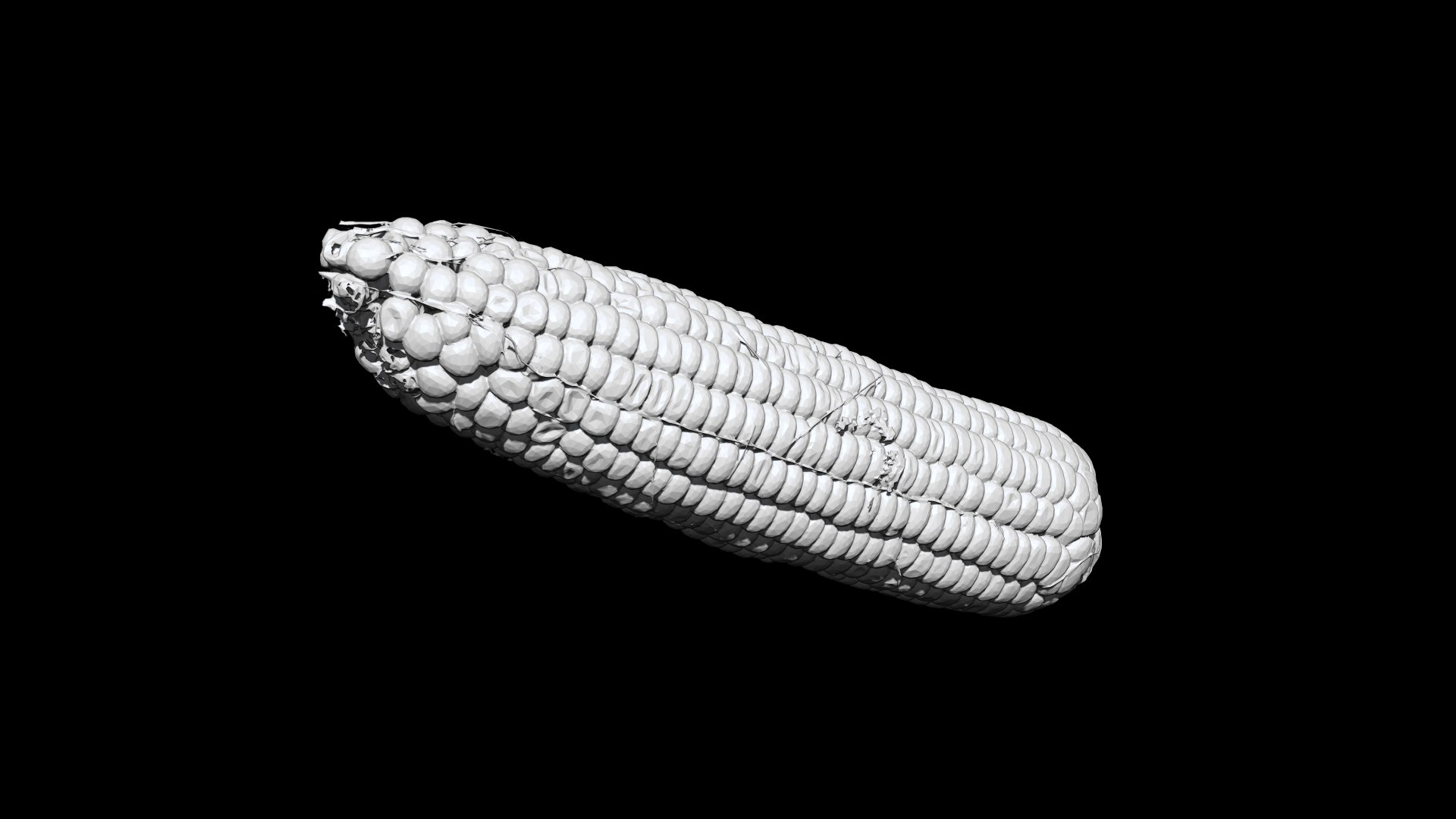 Corn 3D CT Scan Model Decimate 10 Percent 3D Model - TurboSquid 1945195