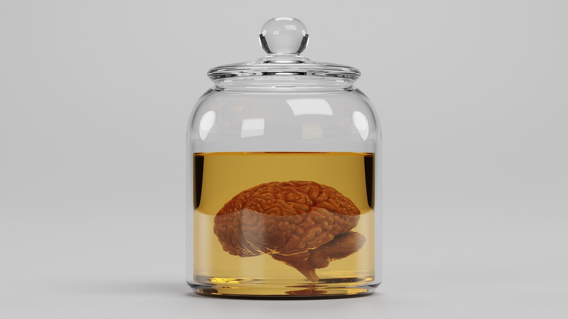 3D Brain In Jar Model - TurboSquid 2023927