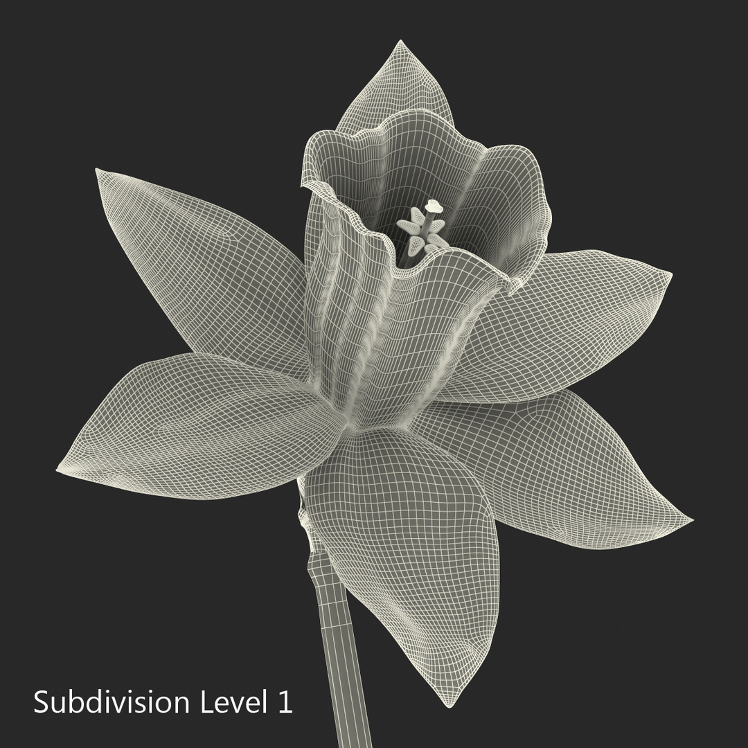 daffodil flowers 3ds