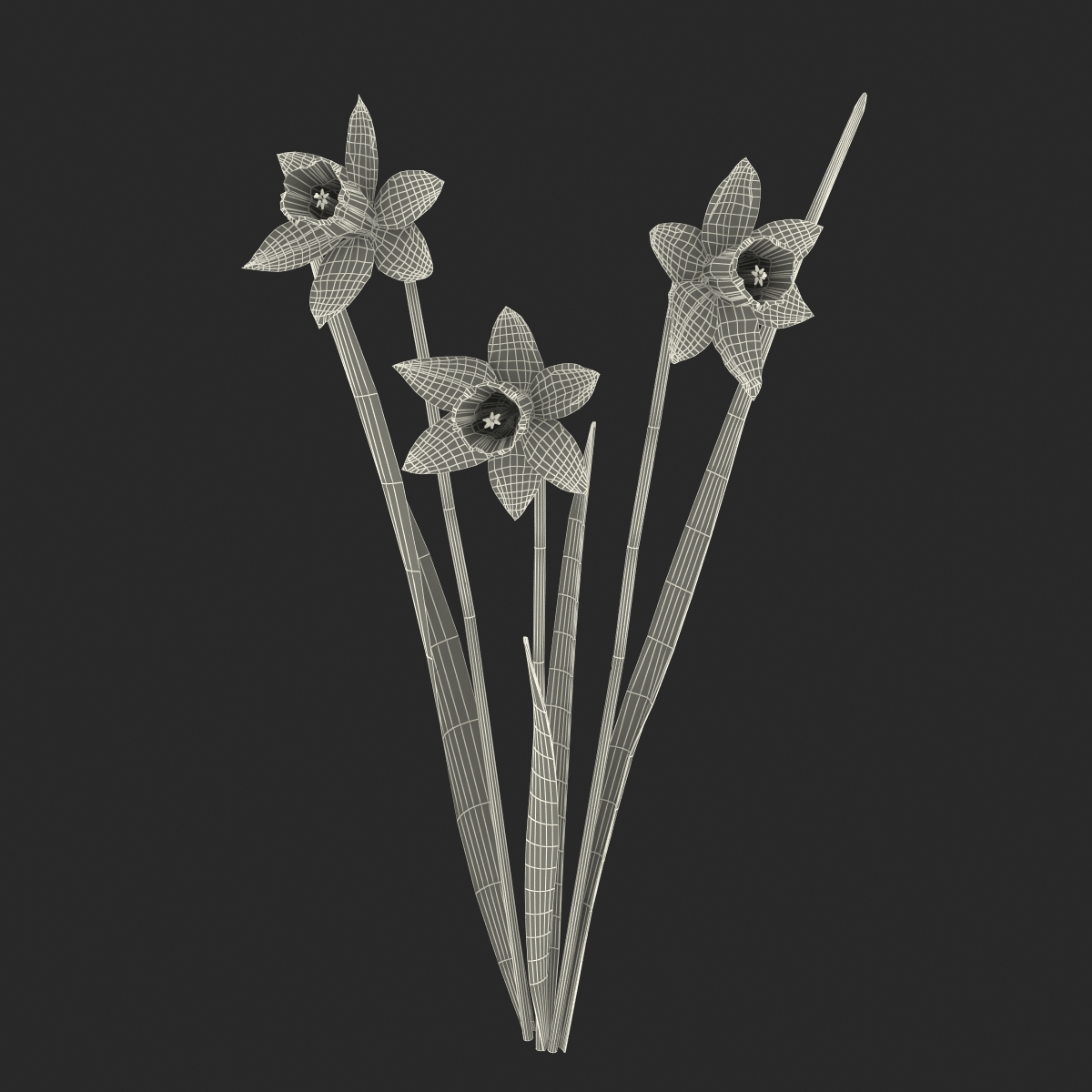 daffodil flowers 3ds