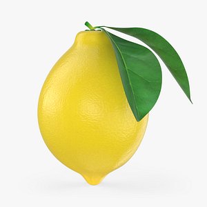 Lemon 3D Models for Download | TurboSquid