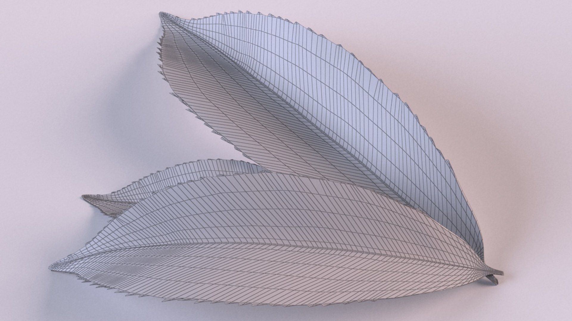 3D tea plants leaf drink - TurboSquid 1667792