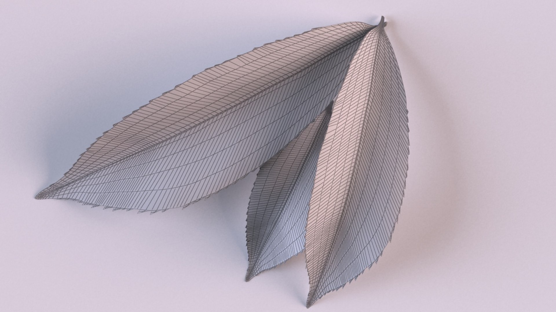 3D tea plants leaf drink - TurboSquid 1667792