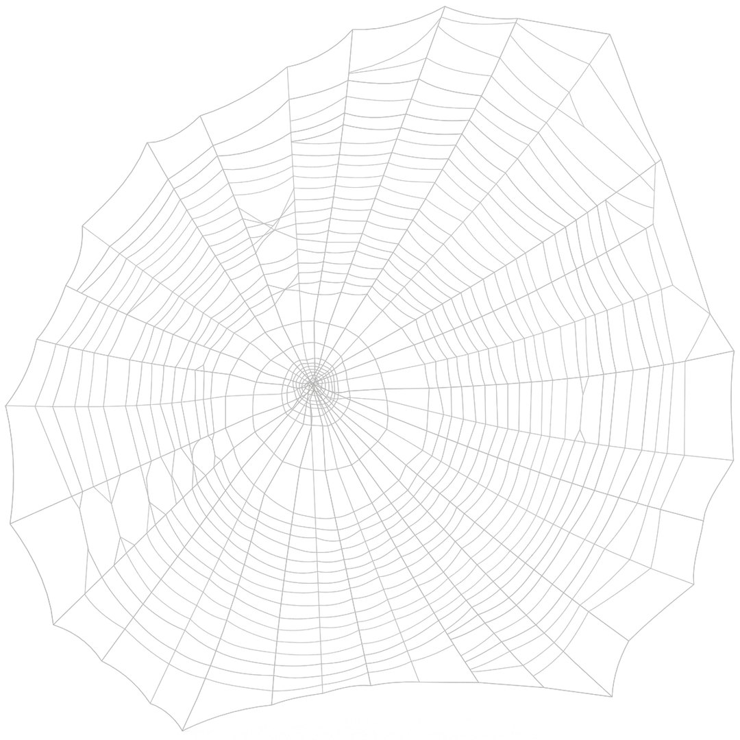 Spider Web 3d Model