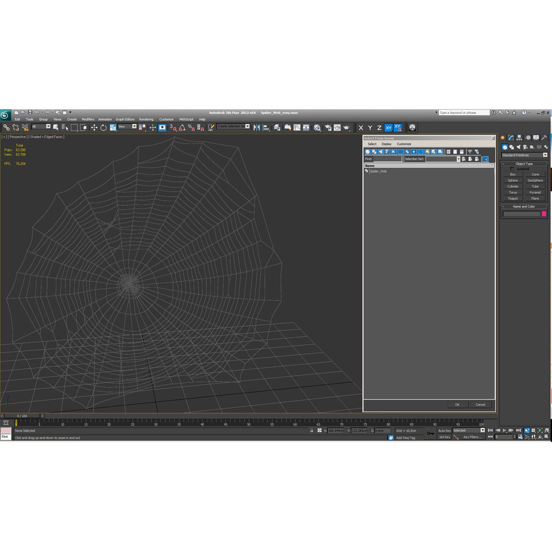 Spider Web 3d Model