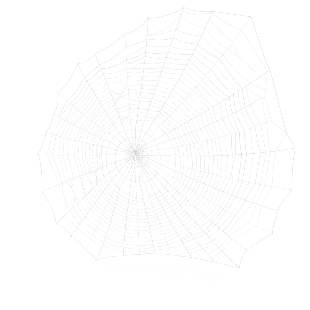 Spider Web 3d Model