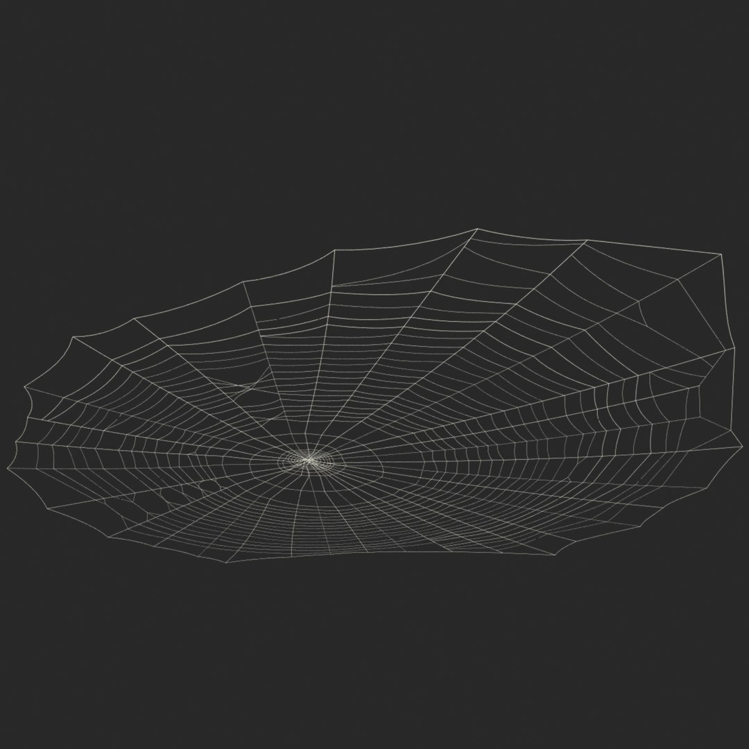 Spider Web 3d Model
