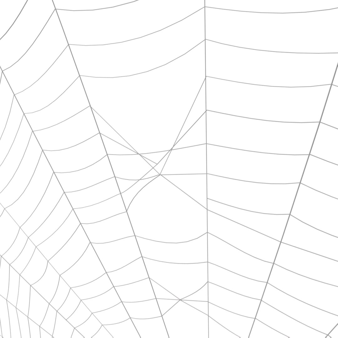 Spider Web 3d Model