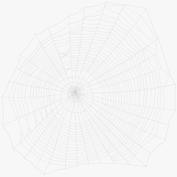 Spider Web 3D Models for Download | TurboSquid