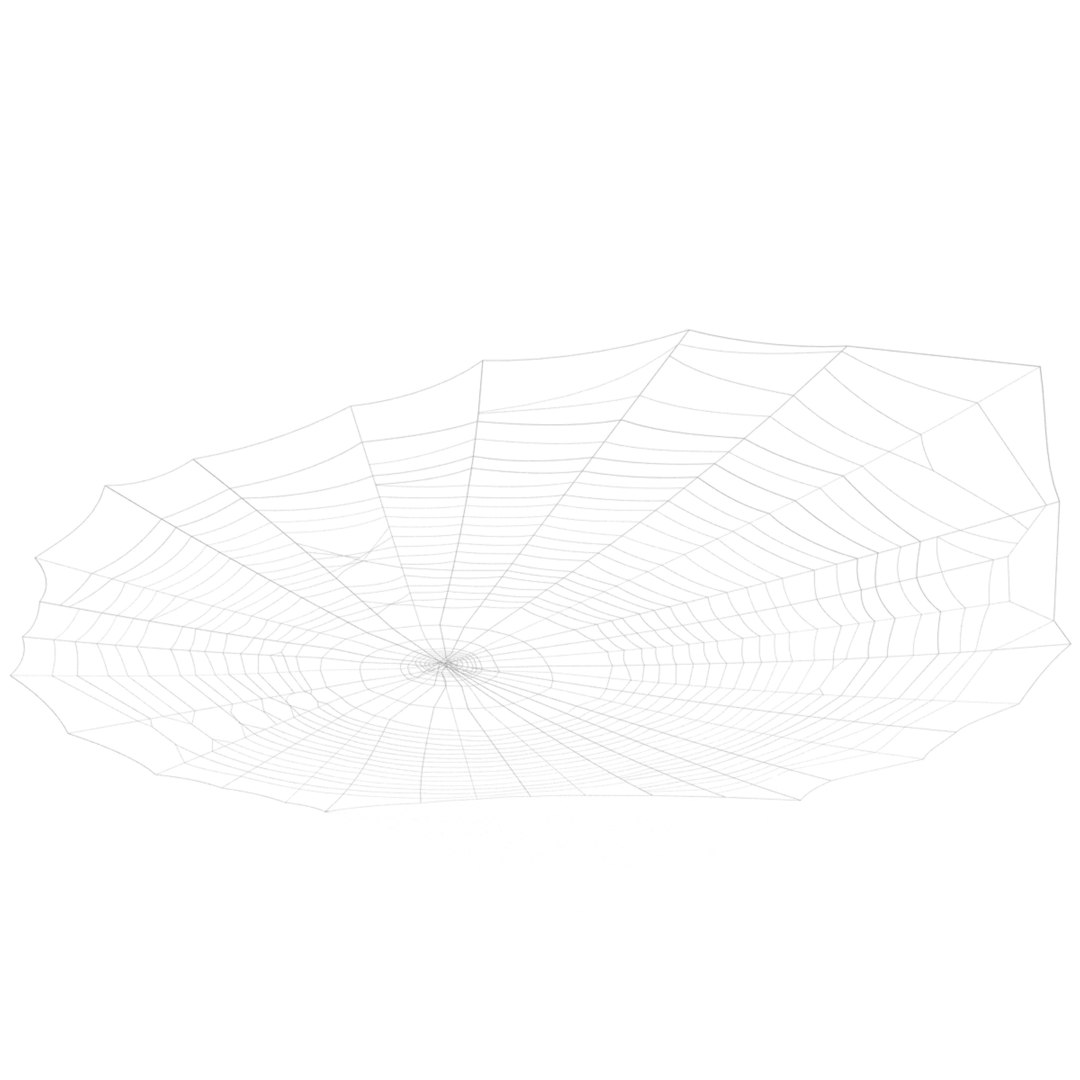 Spider Web 3d Model