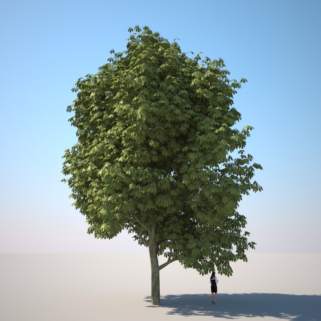 Photorealistic Chestnut Tree Hq-vegetation 3d Model