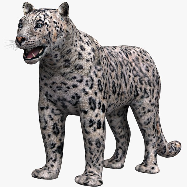 snow leopards c4d