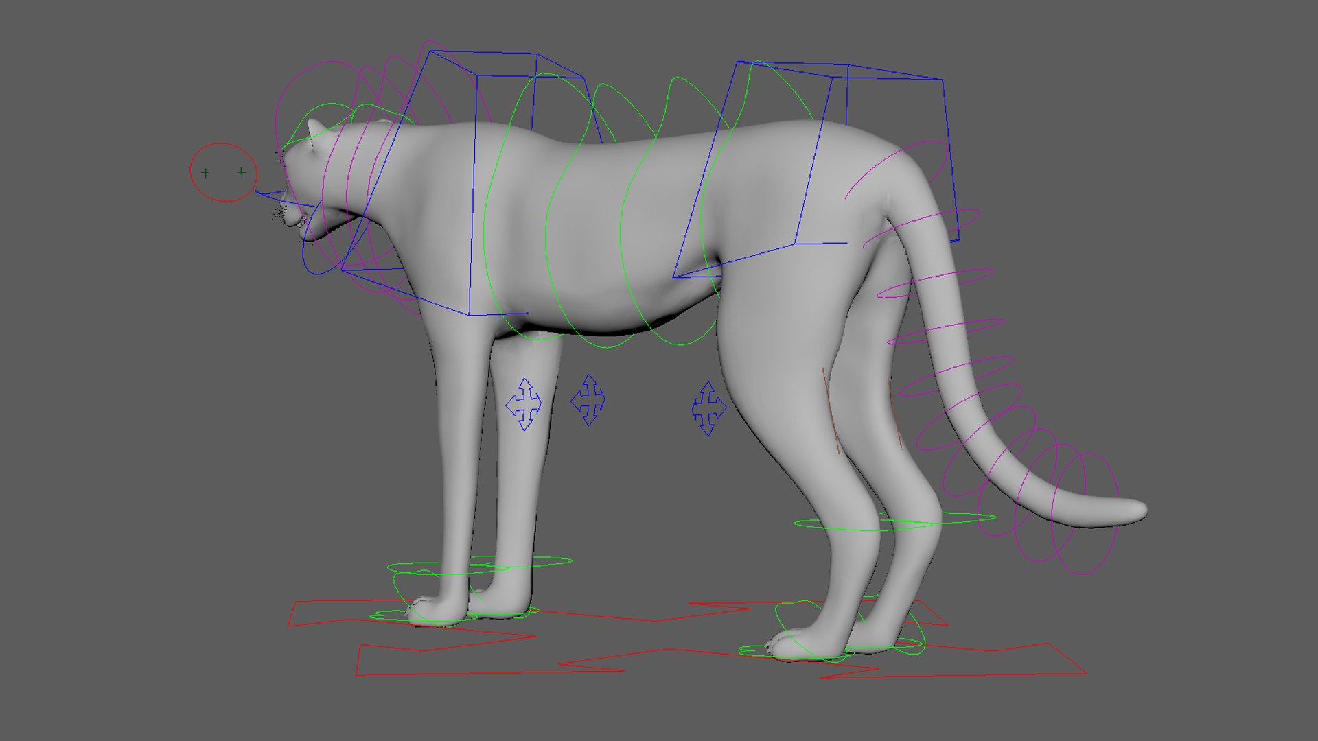 Cheetah Animated NO FUR 1 3D model - TurboSquid 1977462
