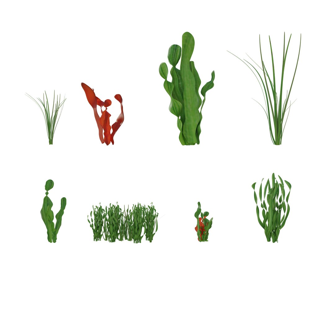 Underwater Grass Pack Model Turbosquid 1950212