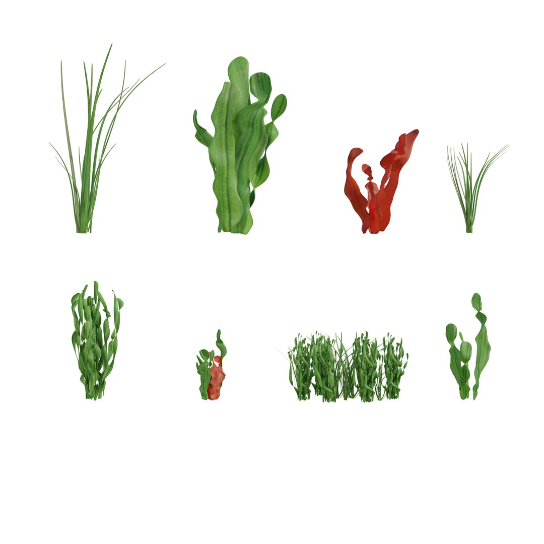 Underwater Grass Pack Model Turbosquid 1950212