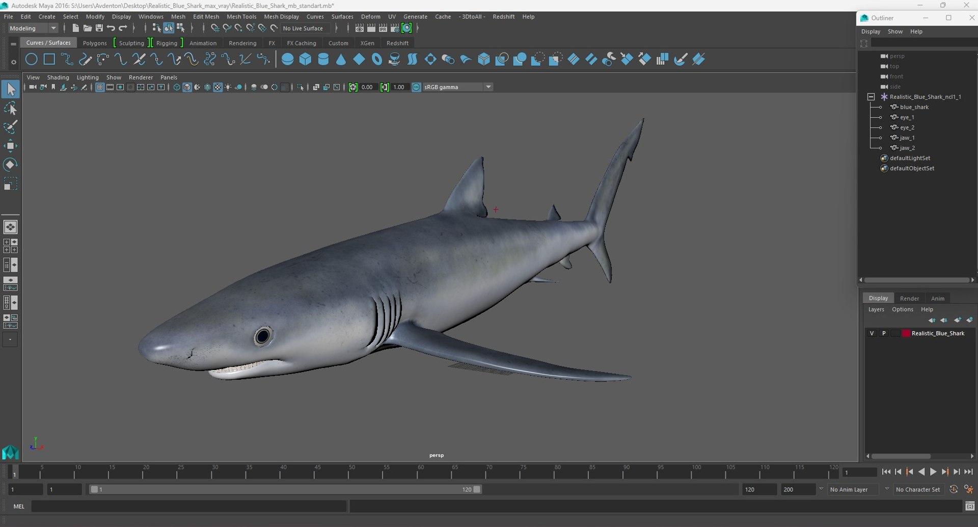 Realistic Blue Shark 3D - TurboSquid 2235892